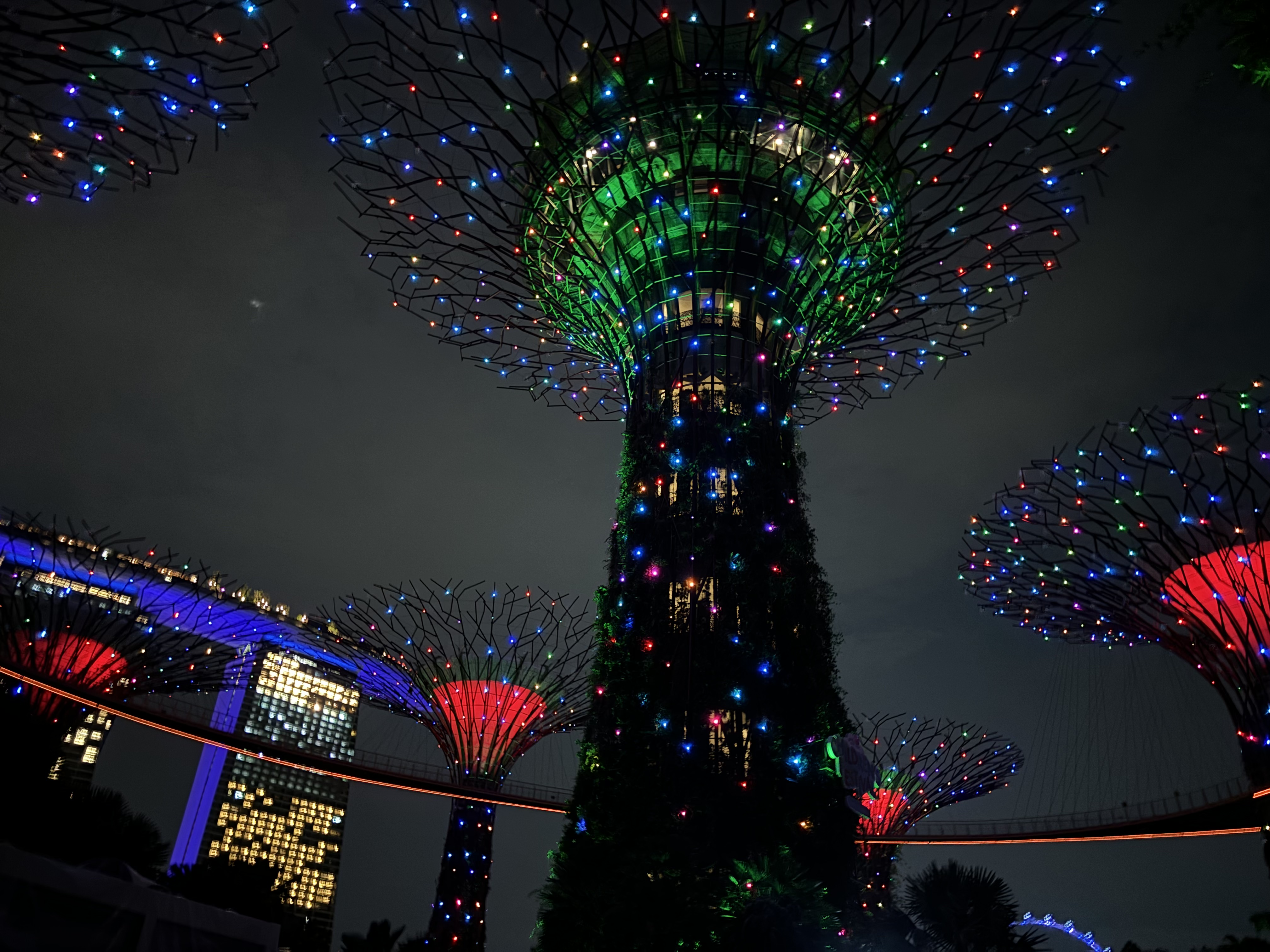 Inside Gardens by the Bay: What’s Behind Its Rising Popularity? - Lapis
